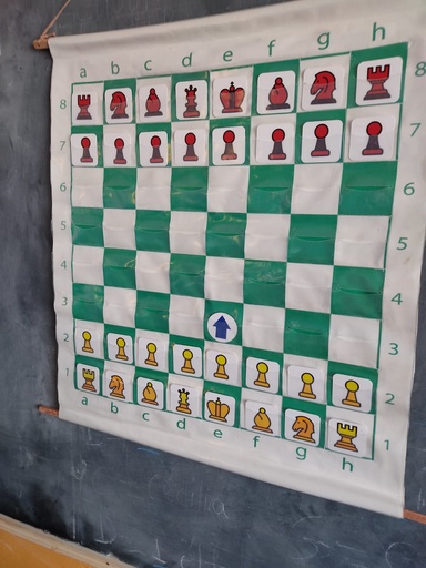The Best Chess Demonstration Board Ever!
